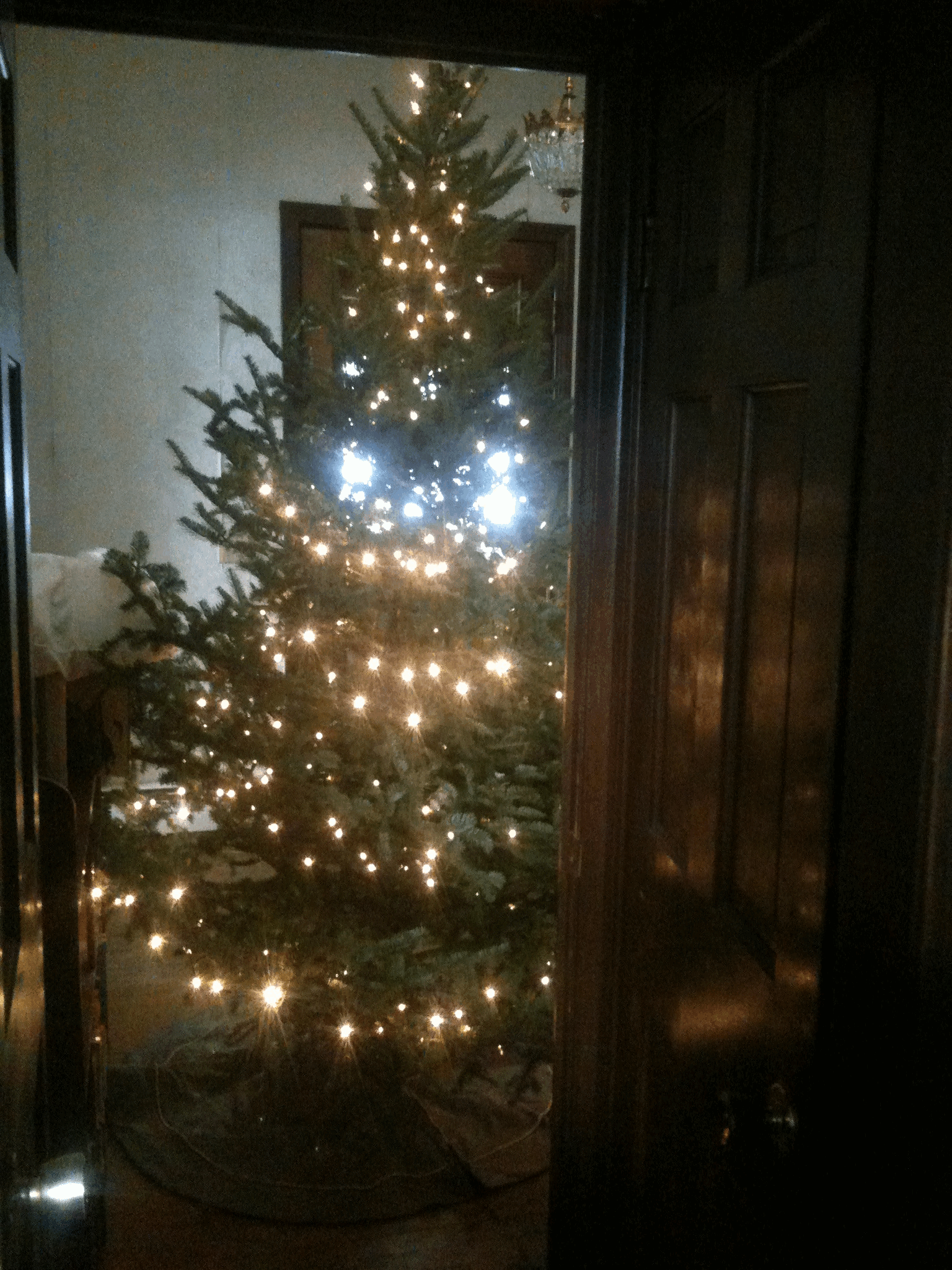 Austin Brower | Austin Brower | Page 2